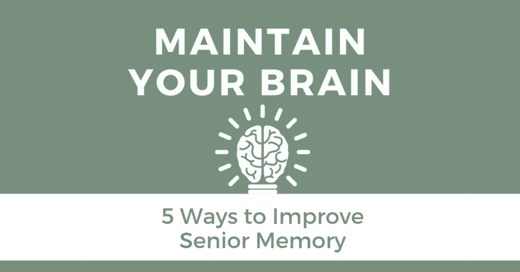 Maintain Your Brain: 5 Ways to Improve Senior Memory – Evergreen Senior ...