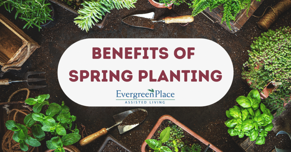 Benefits of Spring Planting! – Evergreen Senior Living